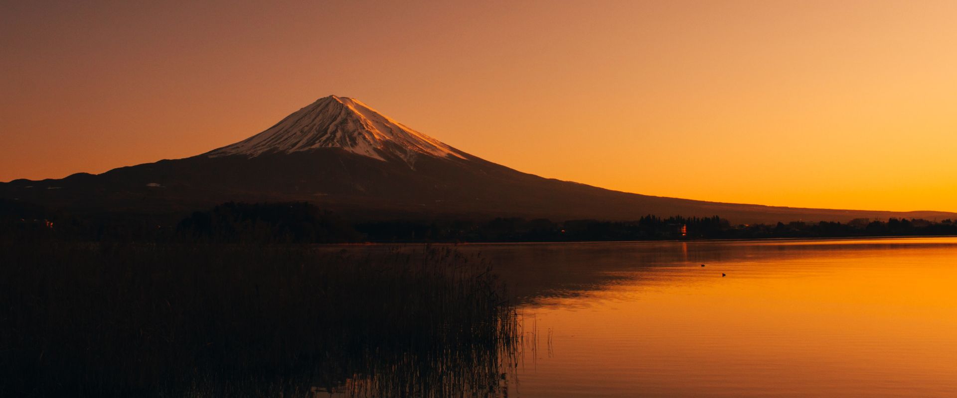 Asahi uit Japan - Youth For Understanding